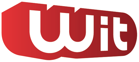 WIT - Médias et collectifs - Ginkio